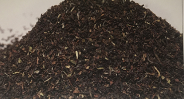 Arya Tea Company Ltd. | Innxt