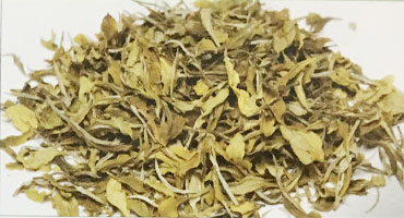 Arya Tea Company Ltd. | Innxt